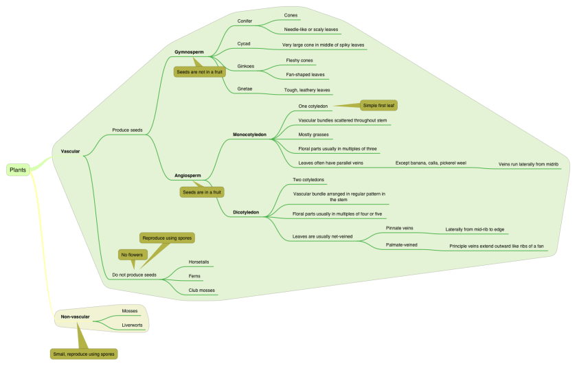 Basic Botany – Learn the Lingo! – Tonji and Sylvia's Wildlife Refuge