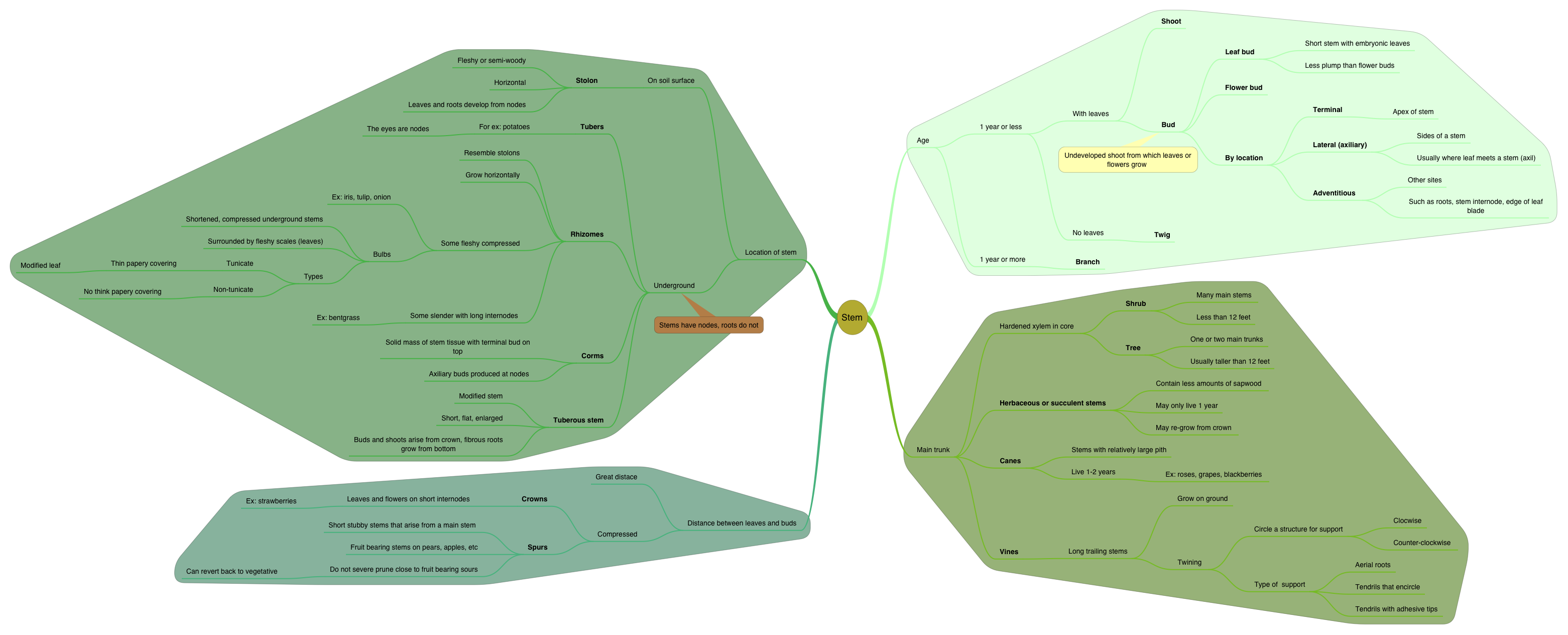 Basic Botany – Learn the Lingo! – Tonji and Sylvia's Wildlife Refuge