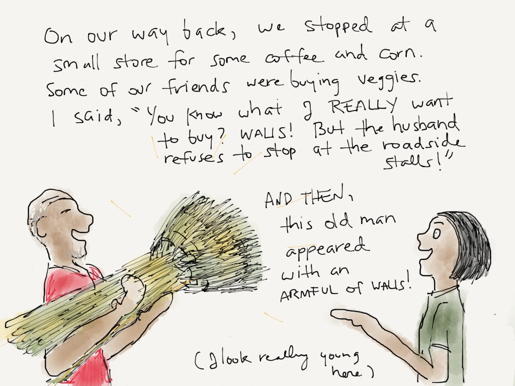 A Guide to Philippine Walis: the Good, the Bad, and the Exeptional ...