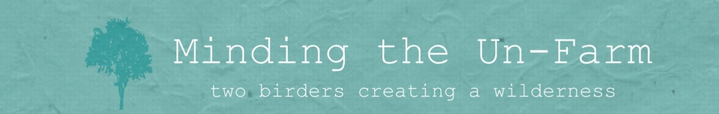 mtf blue background (1) – Tonji and Sylvia's Wildlife Refuge