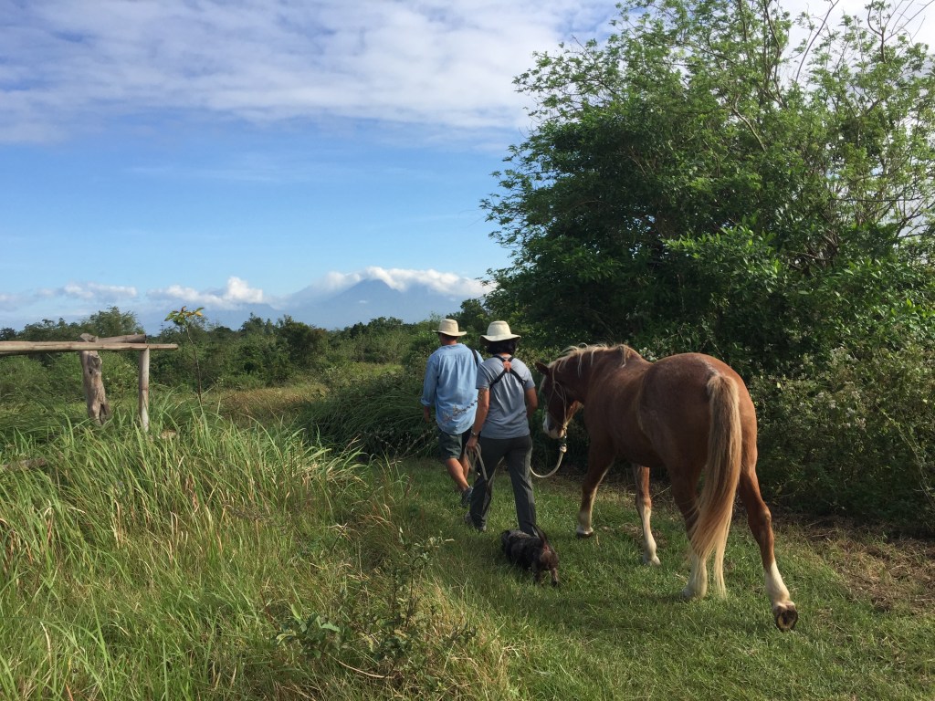 Updated Tree List – Tonji and Sylvia's Wildlife Refuge