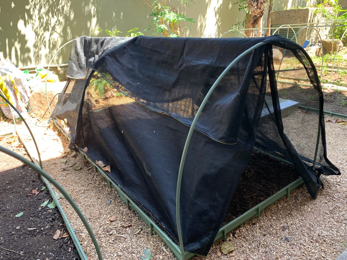 Worm Composting Update. Now Even Easier. – Tonji and Sylvia's Wildlife ...