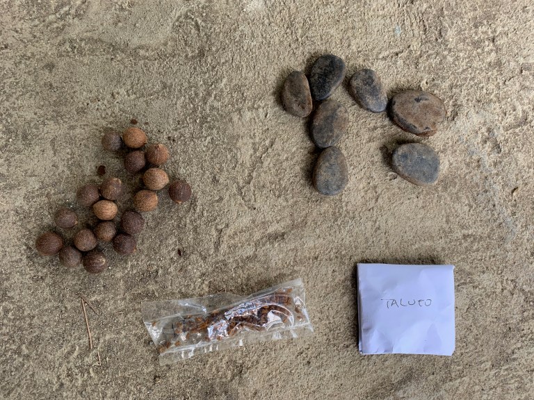 One Thousand Seeds – Tonji and Sylvia's Wildlife Refuge