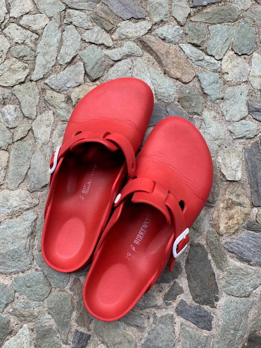 10 Things I Learned from Planting All Those Seeds – Tonji and Sylvia's ...