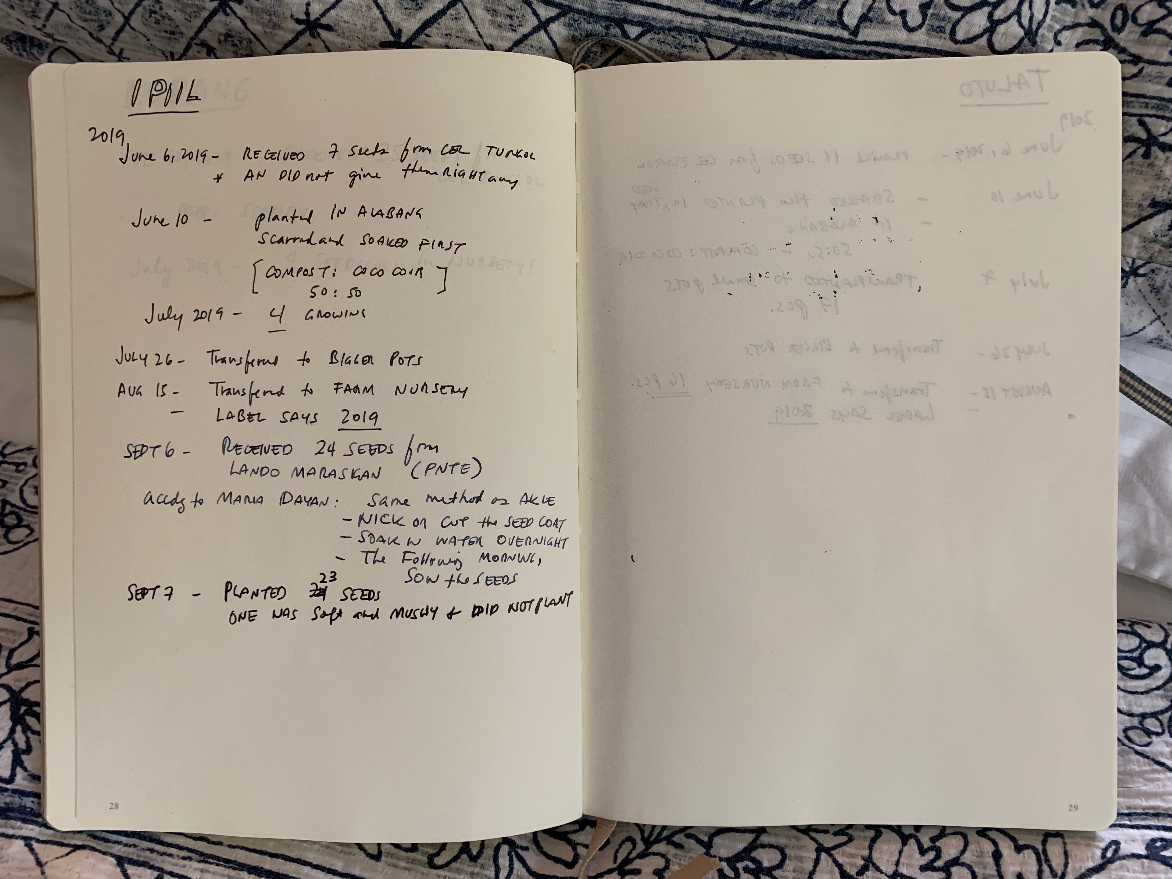 10 Things I Learned from Planting All Those Seeds – Tonji and Sylvia's ...